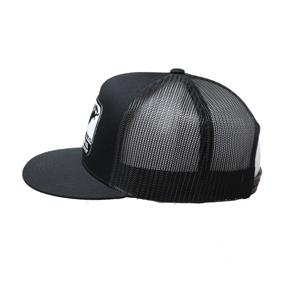 Dale Brisby Cap - WRC Patch Black – The Cowboy's Closet
